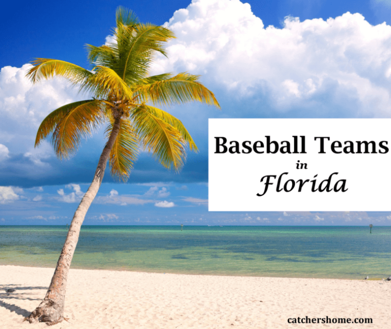 Baseball Teams in Florida (Learn About Each Team Here!)