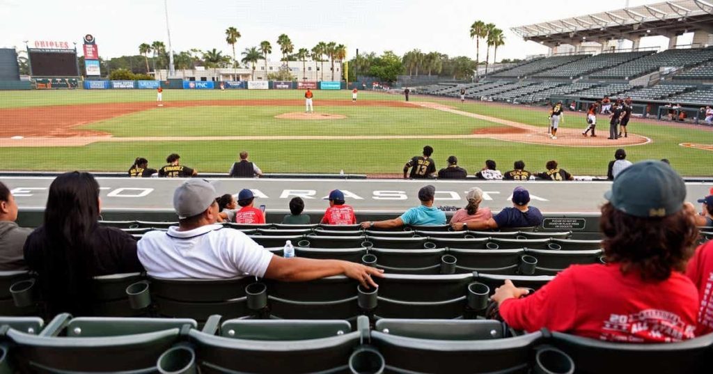 Baseball Teams in Florida (Learn About Each Team Here!)